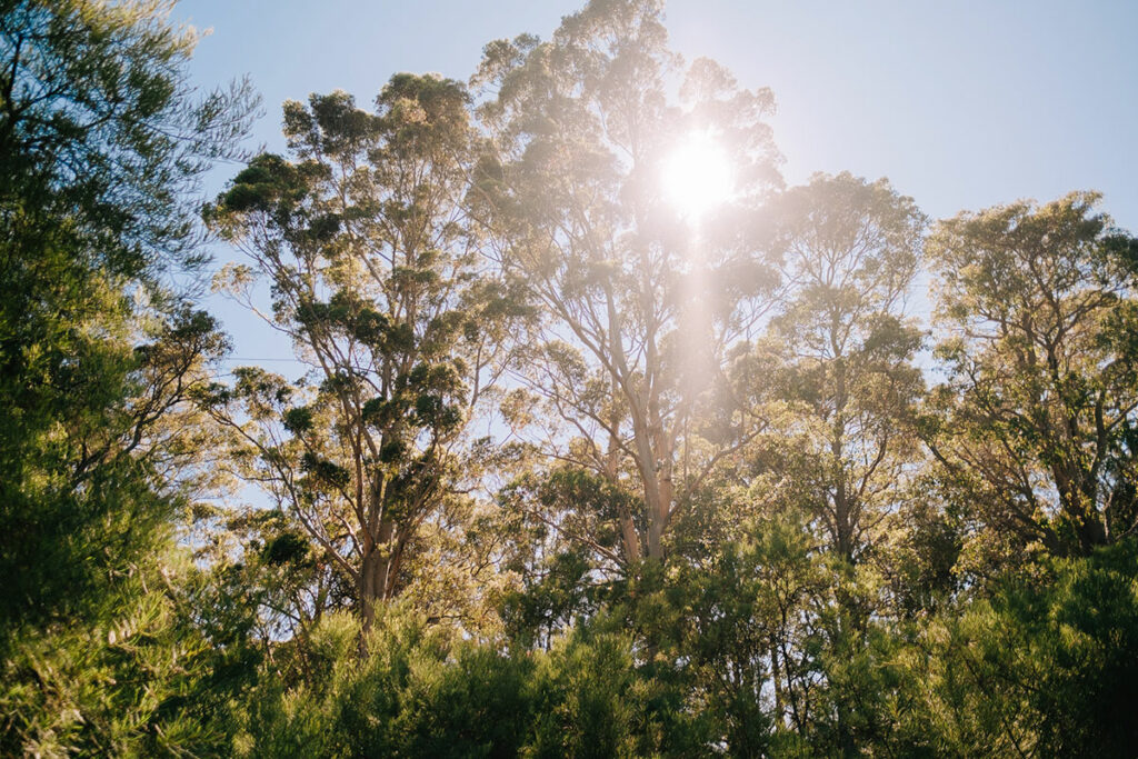 The Boranup Region - Discover the Boranup Cottage & local area